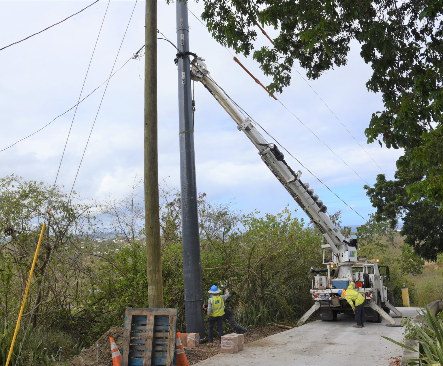 Raising Resilience One Pole at a Time - US Virgin Islands Office of ...